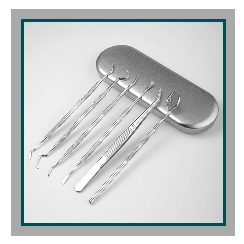 Stainless Steel Dental Scraper & Cleaning Tool Set - Oem Accepted
