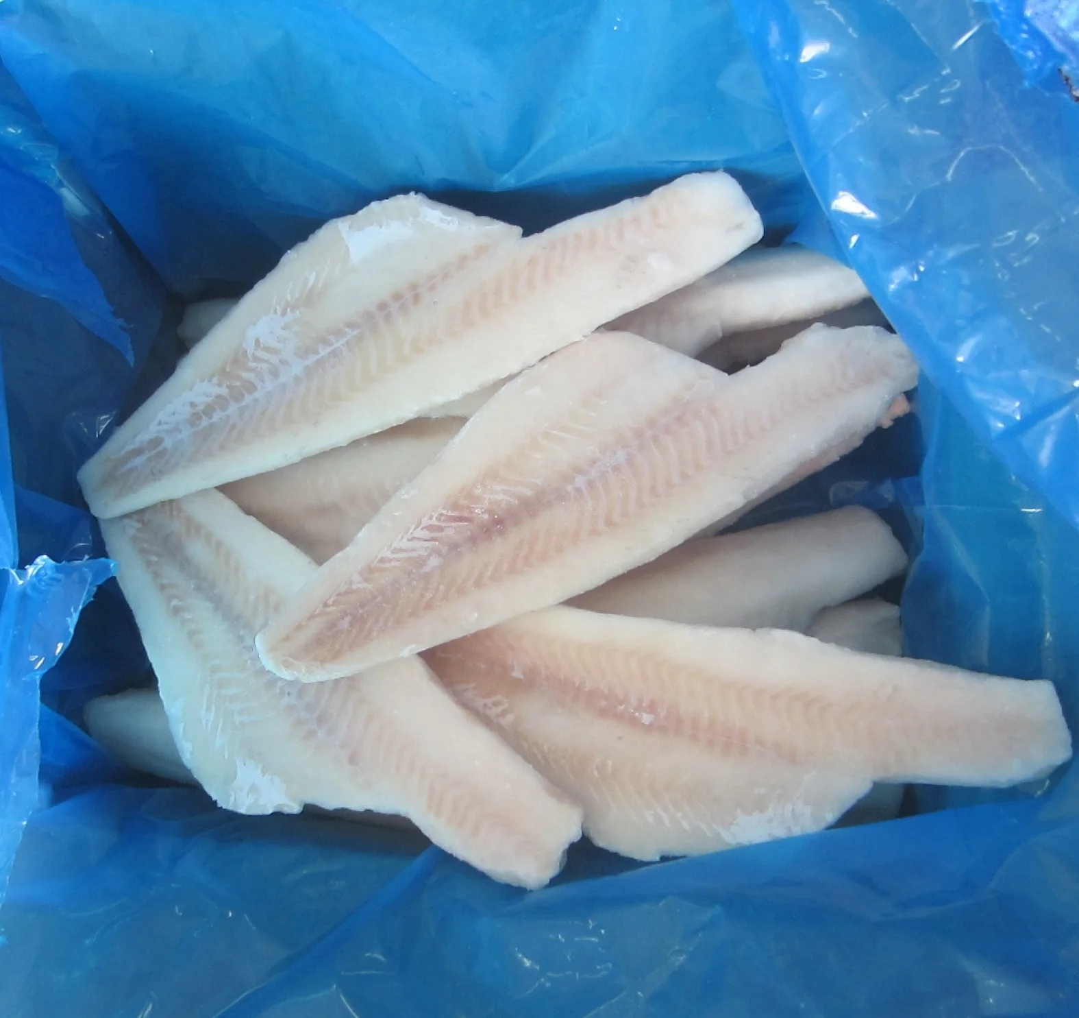 Quick Frozen Haddock Fillets Iqf Skinless Pbo - Buy Haddock Fillet ...