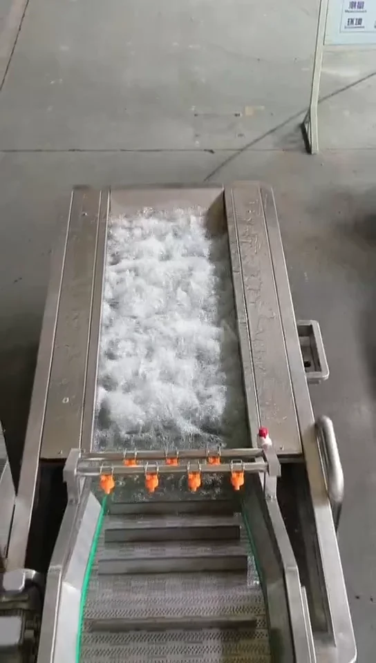 Prune Cleaning Washing Production Line / Dried Prune / Apricot / Raisin ...