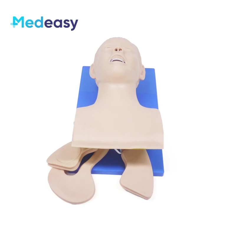 Adult Airway Intubation Training Mannequin | Realistic Medical ...
