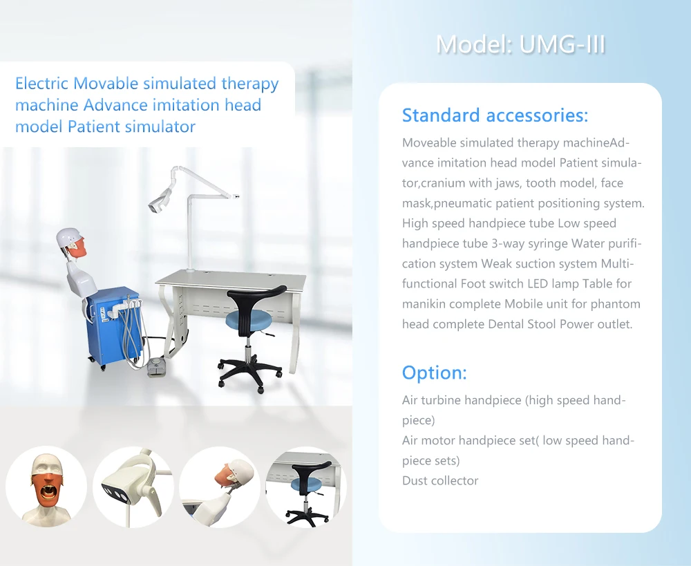 Medical Dental Simulation Unit Phantom Head Dental For Education - Buy ...