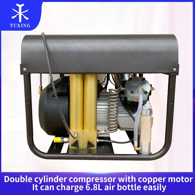 Tuxing 220v 300bar 4500 Psi High Pressure Double Cylinder Electric Pcp ...