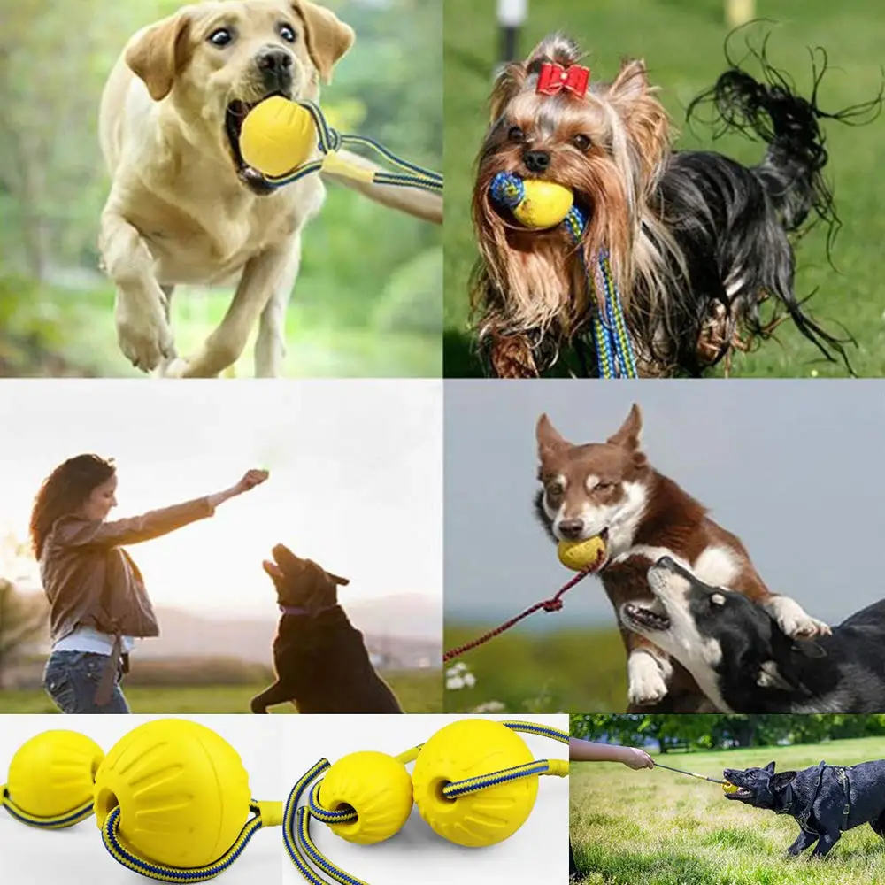 Natural EVA Floating Foam Ball on a Rope Dog Toy for Pet Training