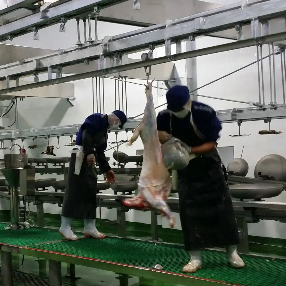 Efficient Sheep Slaughterhouse with Overhead Meat Conveyor