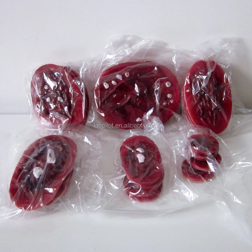 43 Wound Simulators Facial Burn Trauma Model,Trauma Evaluation Model ...