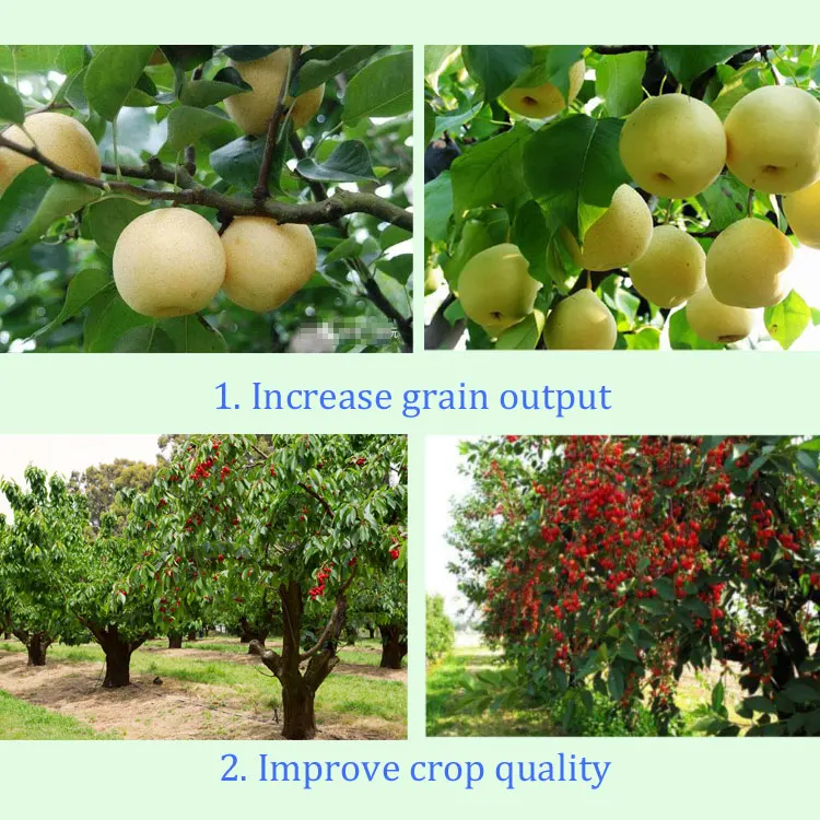 Agrochemical Plant Biostimulants - Fulvic Acid & Humic Acid