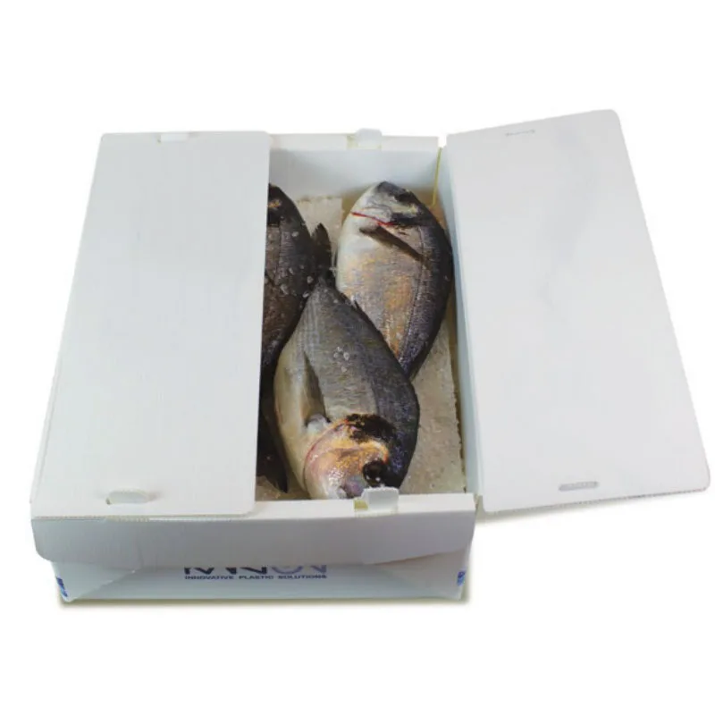 Fish Shrimp Oyster Crab Plastic Packaging Box Seafood Correx Packaging ...