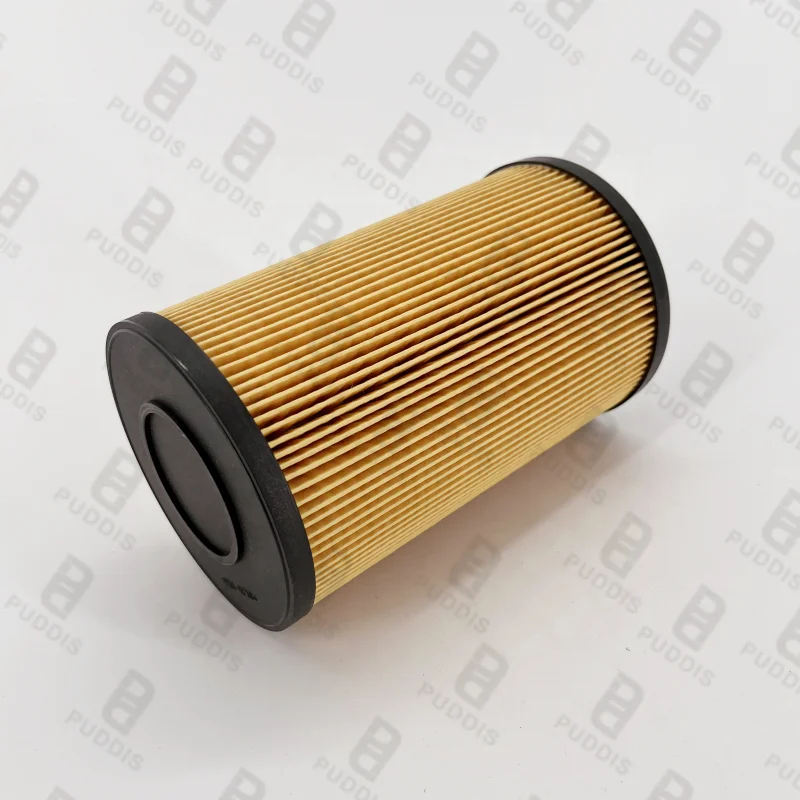 Truck Diesel Engine Fuel Filter Yn21p01068r100 Yn21p01036s002 ...