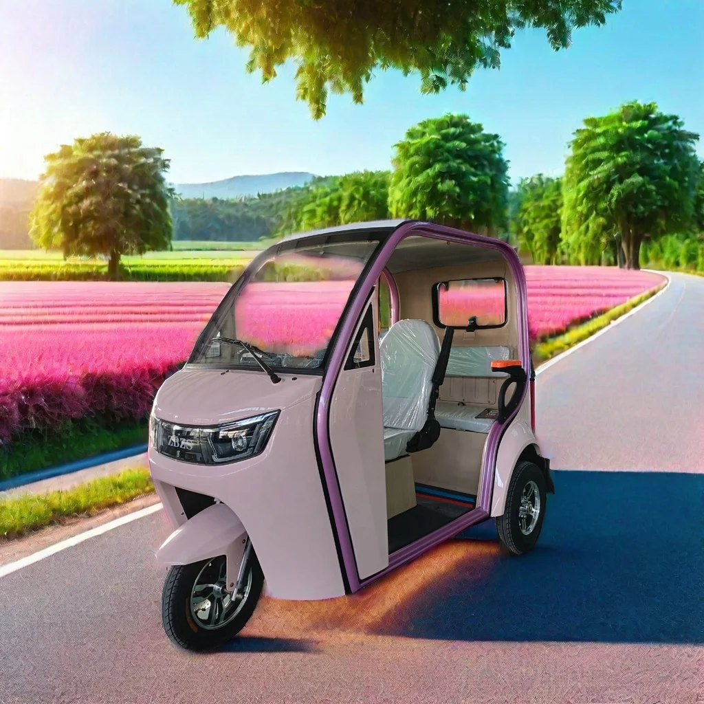 Promotional Three-Wheel Electric Rickshaw Tuk Tuk Tricycle