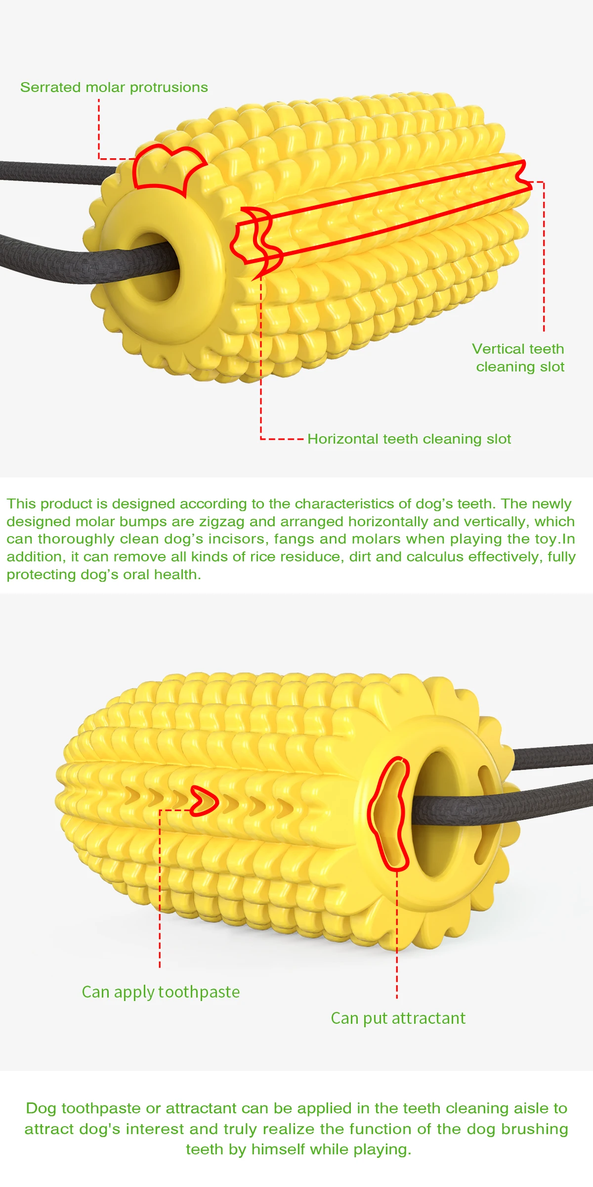 2020 New Interactive Dog Tug Toy Corn Shaped Dog Chew Toy With Suction ...