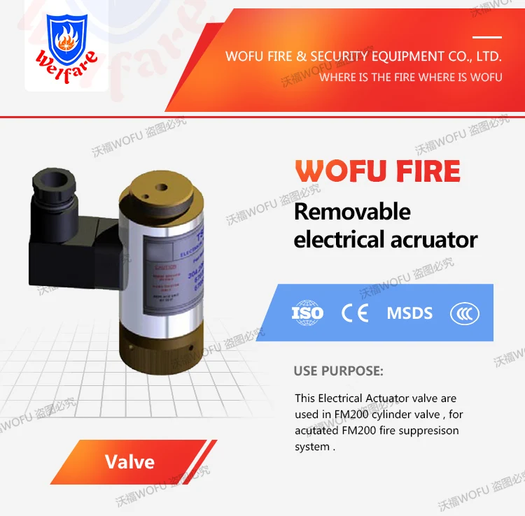 FM200 Fire Suppression System - Reliable 24V DC Solenoid Valve