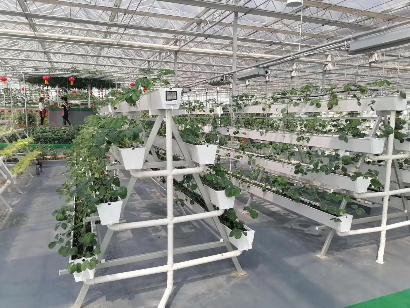 Rain Gutter Grow System - Vertical Hydroponics for Strawberries