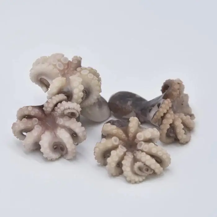 Good Price Seafood Octopus Frozen 340g Wild Small Frozen Octopus Of ...