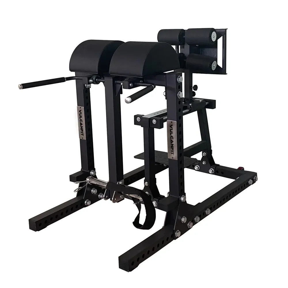 Adjustable Glute Ham Developer Reverse Hammer 2 in 1 GHD Training Chair ...