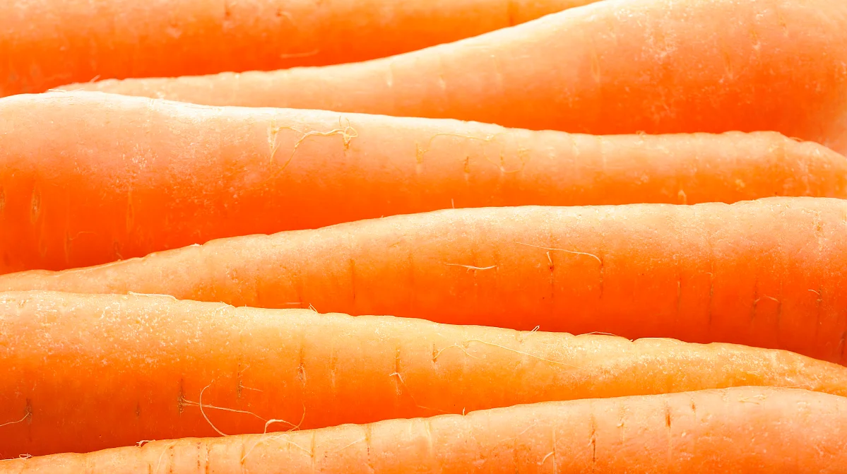Daucus Carota Sativa Extract - Carrot Fiber & Beta-carotene
