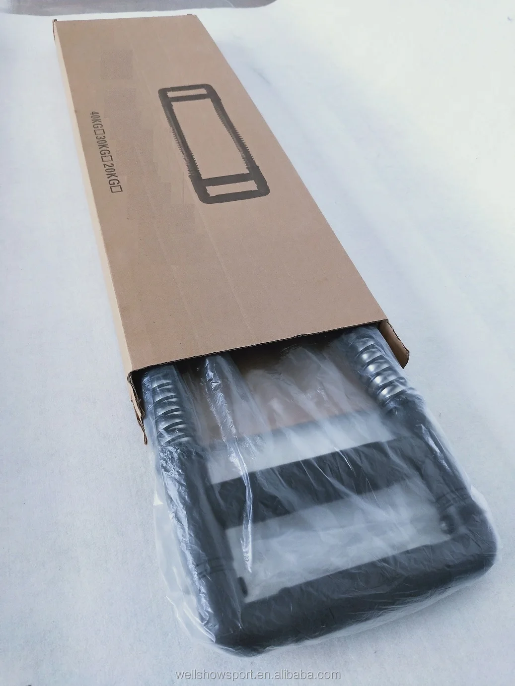 Wellshow Sport Chest Expander - Total Upper Body Press down Machine