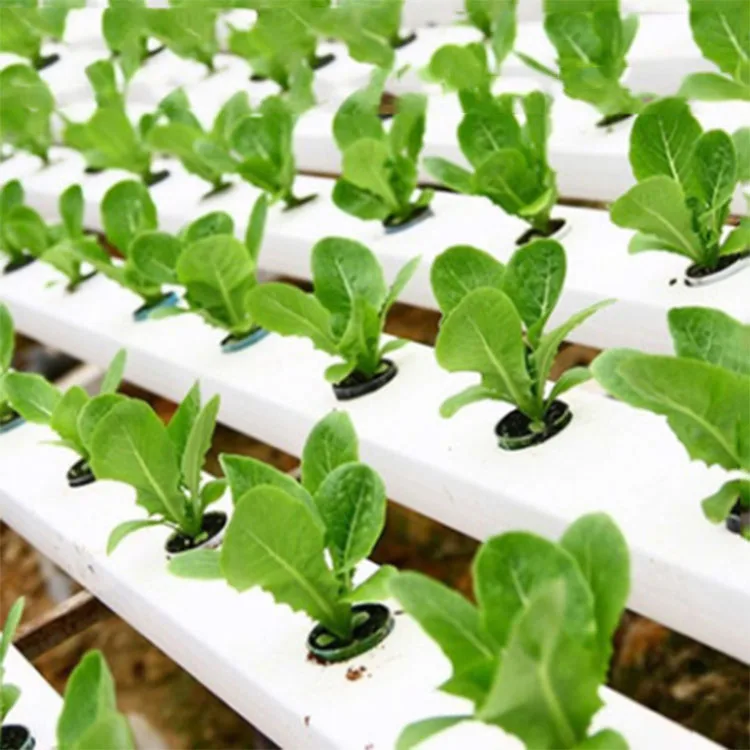 Hydroponics Vertical System Hydroponic Tubes Pvc Square Pipeline For ...