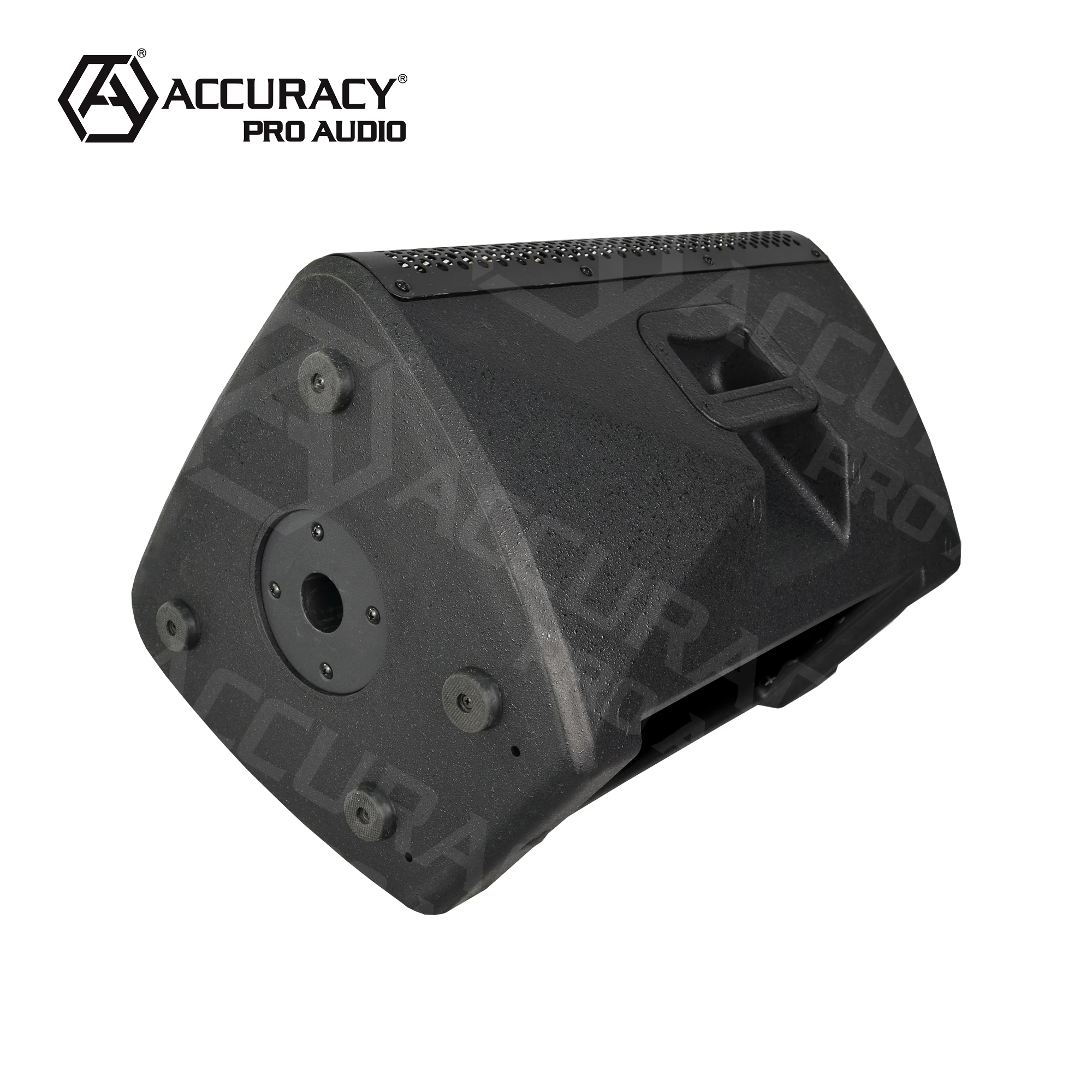 Accuracy Pro Audio Cao10d6-2k Professional 500w 10" Inch Powerful ...