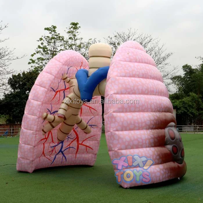 Custom Outdoor Large Lifelike Inflatable Lung Model