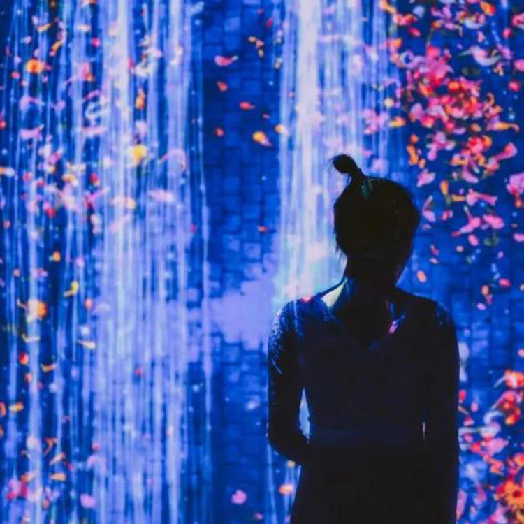 Interactive Projection Art - Immersive Full Room Projections