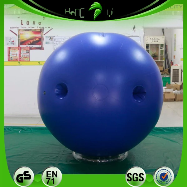 Custom Inflatable Blueberry Suit - High Quality & Price