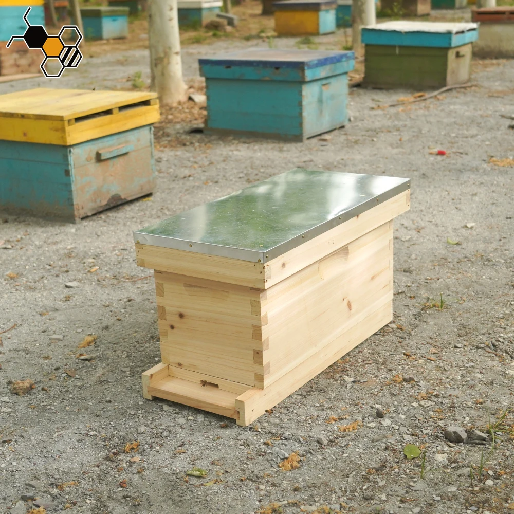 5 Frames Beehive Nuc Bee Box Wooden Langstroth Nuc Box Cardboard Nuc Box Bee| Alibaba.com
