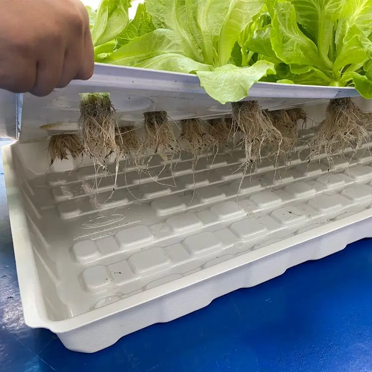 Greenhouses Aeroponic Microgreen Tray Seed Planting Trays