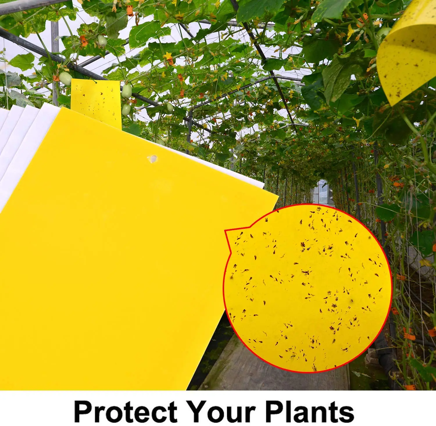 Outdoor Yellow Sticky Traps For Flying Plant Insect/ Fly Glue Board ...