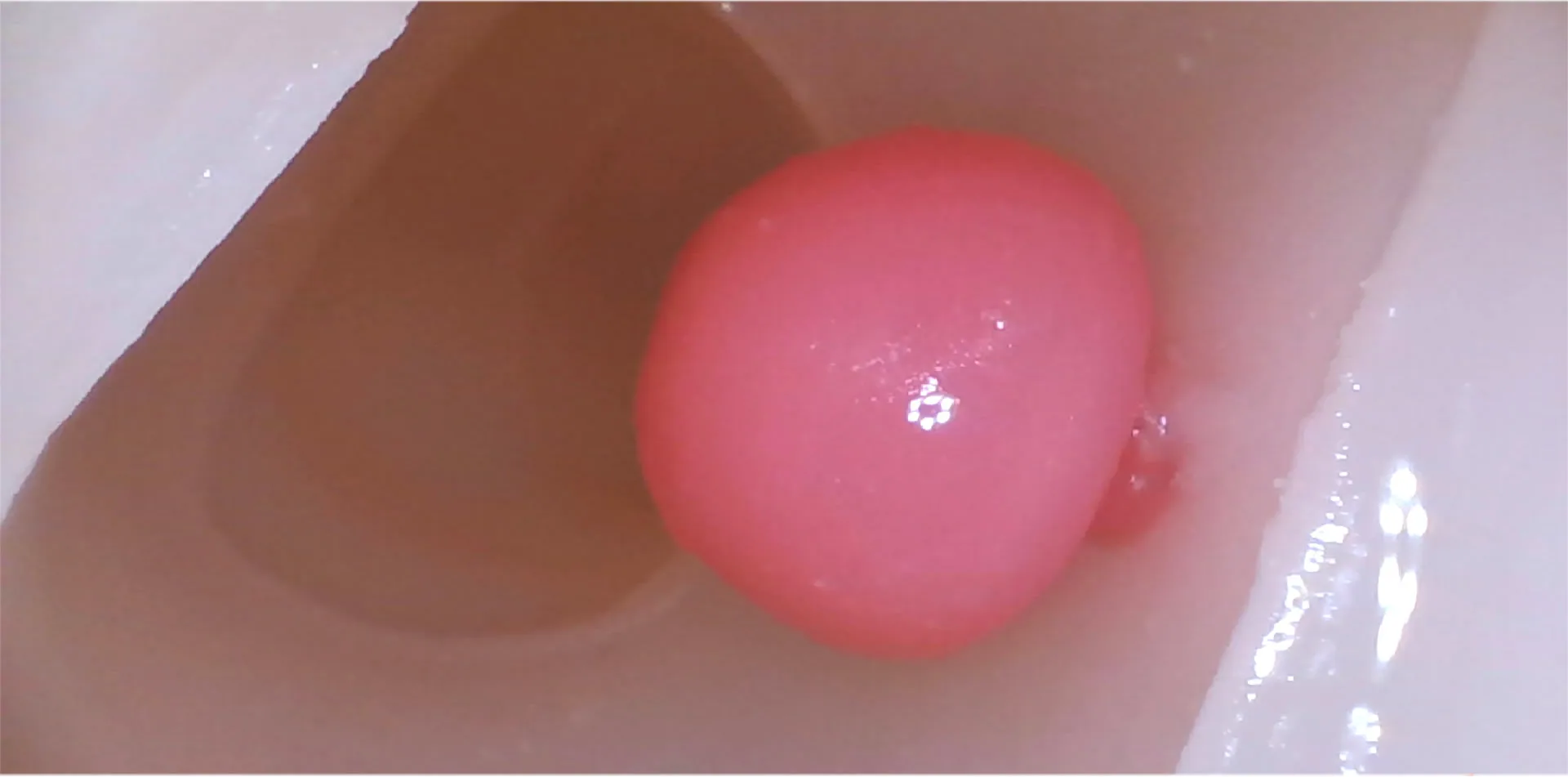 Soft Realistic Colonoscopy Training Model for Medical Education - ODM