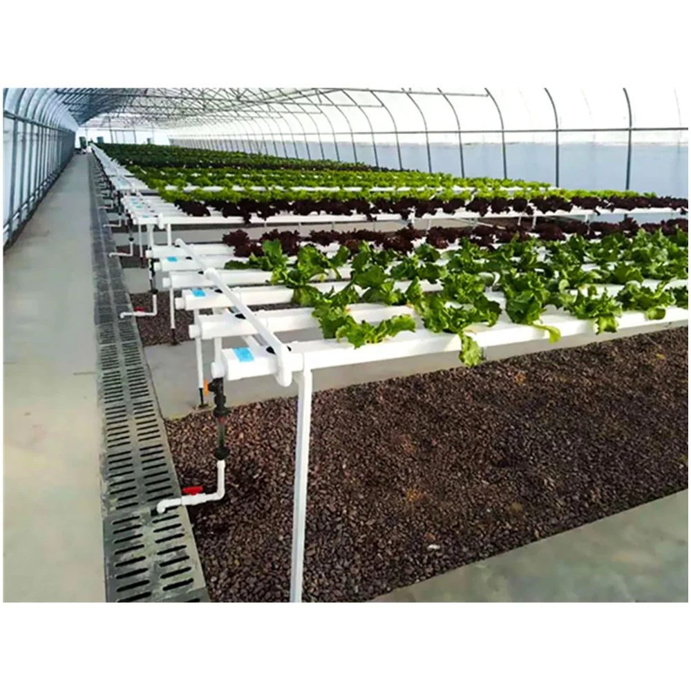 Nft Channels Spinach Nft Channel Tray Hydroponic Growing Systems - Buy ...