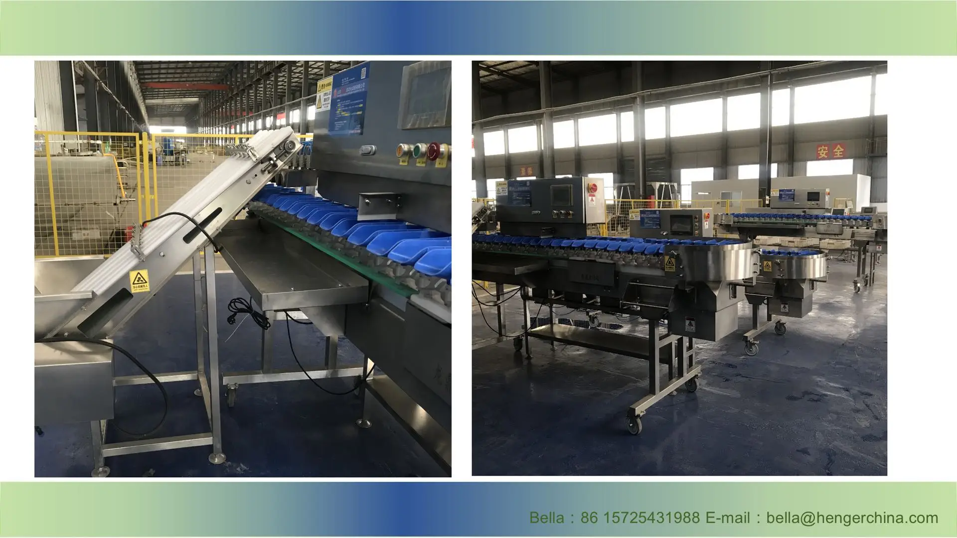 Combination Weight Automatic Chicken Wings Fish Weight Sorting Machine ...