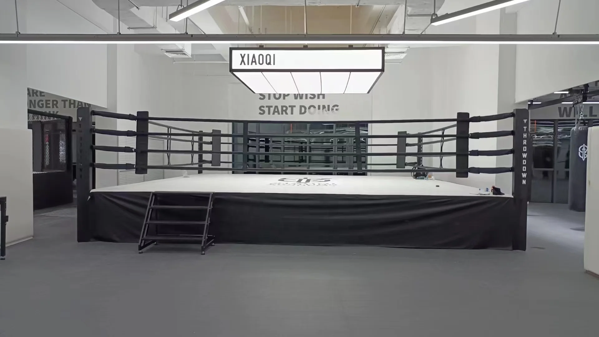 Professional Muay Thai Mma Platform Boxing Ring With Canvas Cover Ropes ...