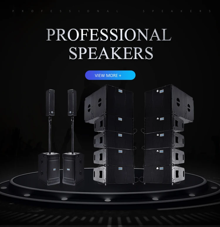 ARVOX AVL-20-1 - Professional 213 Passive Pro Audio DJ Sound System