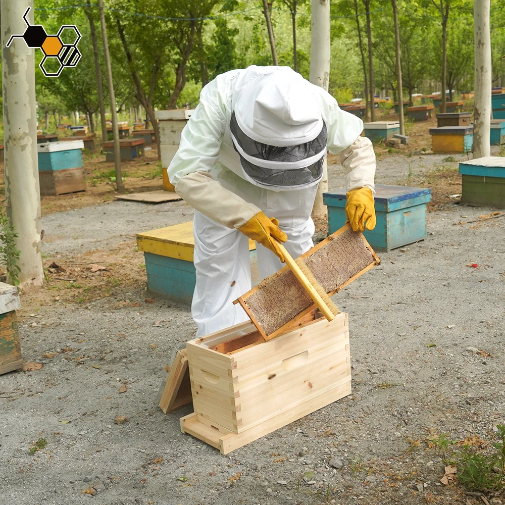 5-frame Nuc Beehive - Complete Langstroth Beekeeping Box