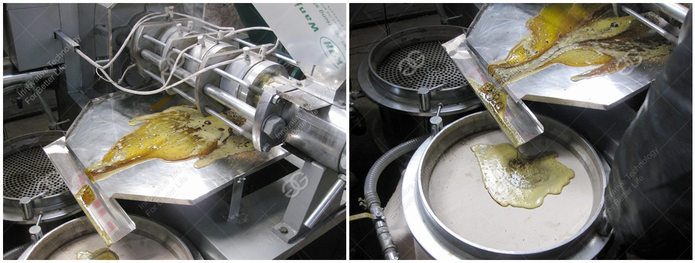 Olive Oil Press/extracter Machine - High-Accuracy & Efficiency