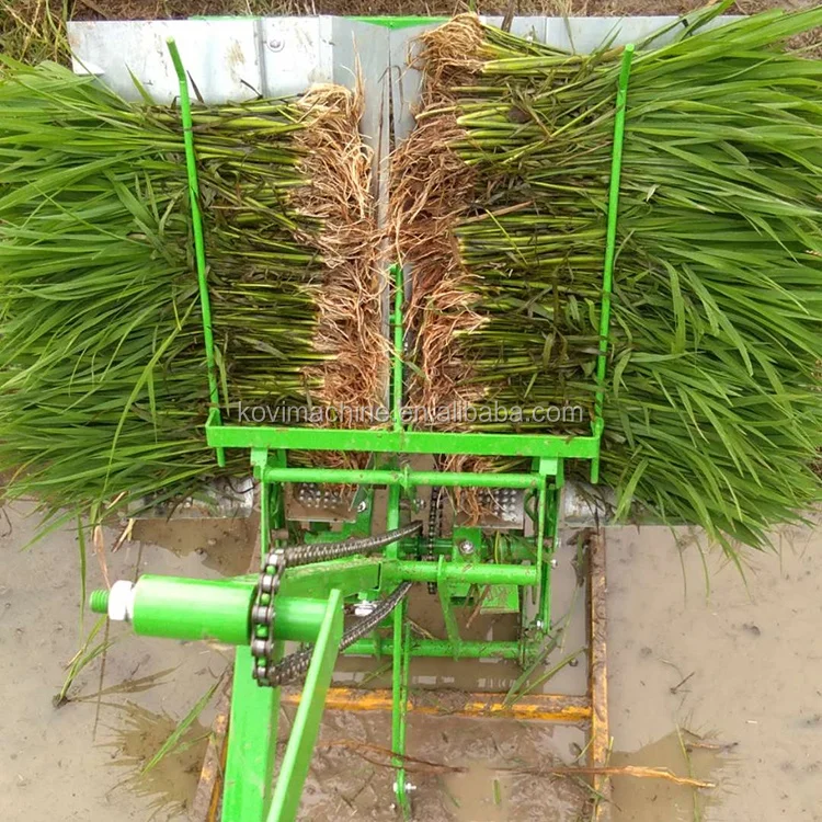 Paddy Rice Planting Planter - Manual Rice Transplanter Price