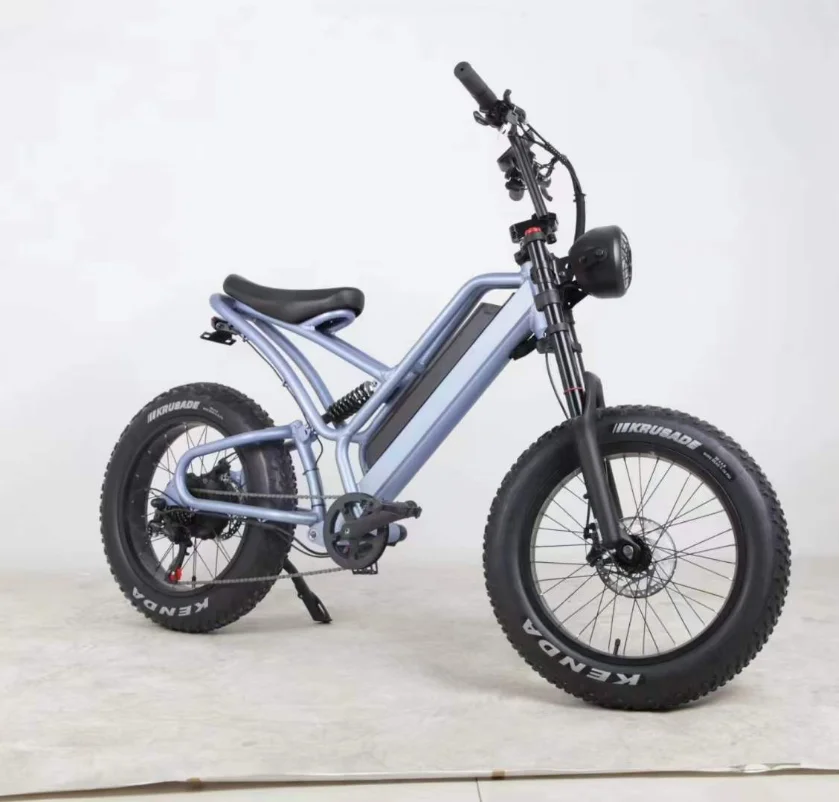 Warehouse Electric City Fat Tire Bike 250w 500w 750w 1000w Dual Motor ...