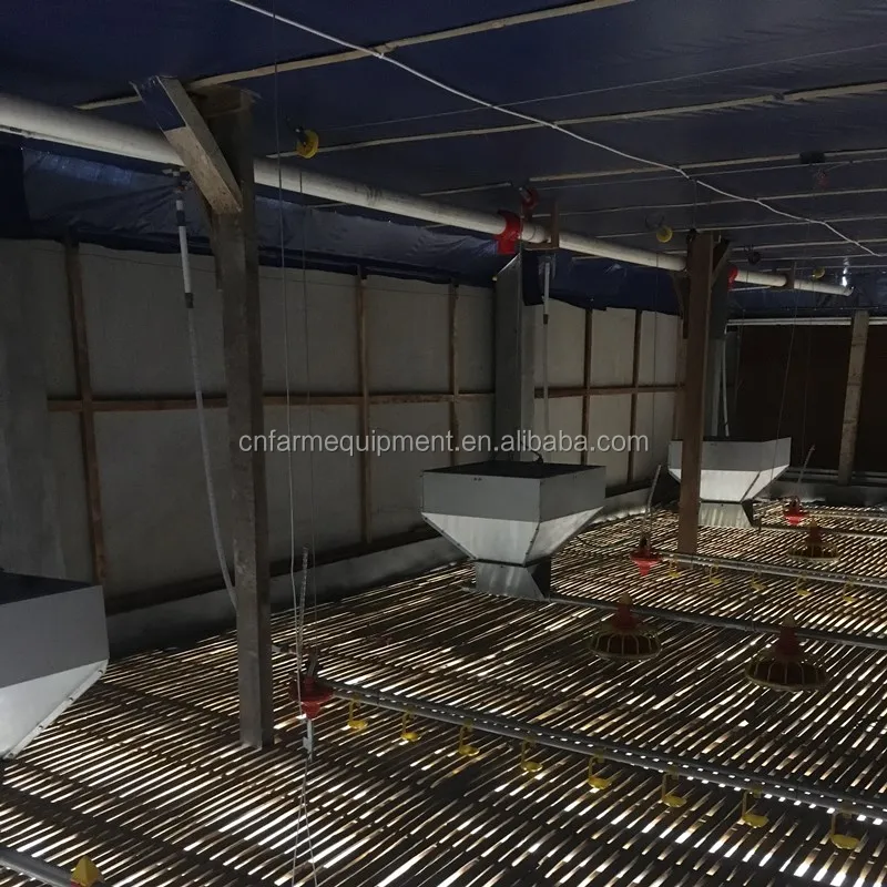 Galvanized Feed Hoppers for Poultry Farms - Durable & Efficient