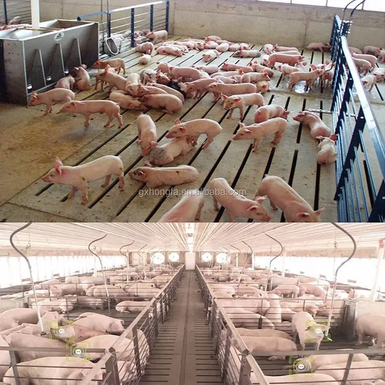 Reinforced Concrete Slats Moulds for Pig Cow Sheep Farming