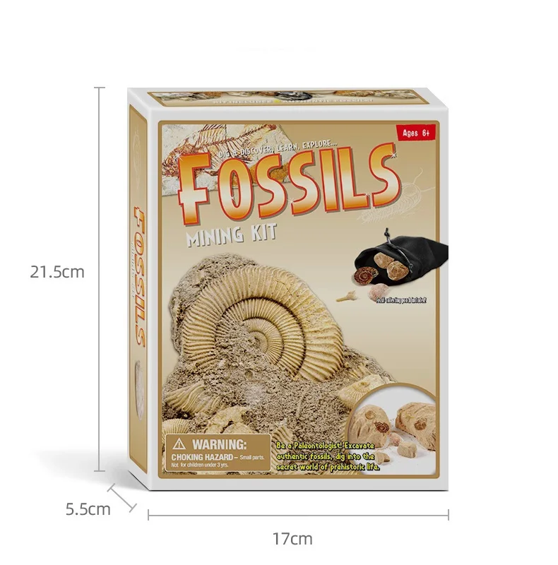 Diy Fossils Dig Kit Fossils Excavation Kit Fossils Dig Toys For Kids ...