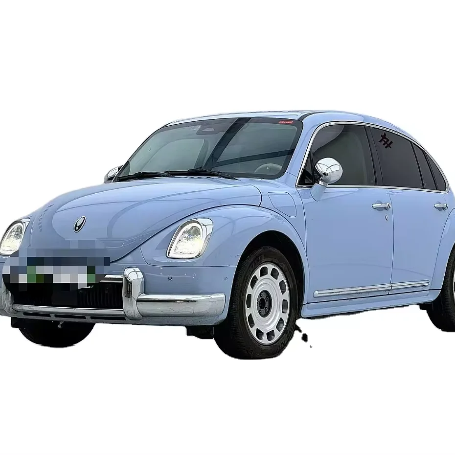 Wholesale 5-seater 401km 500km Range 2wd High Speed ORA Ballet Cat 2023 ...