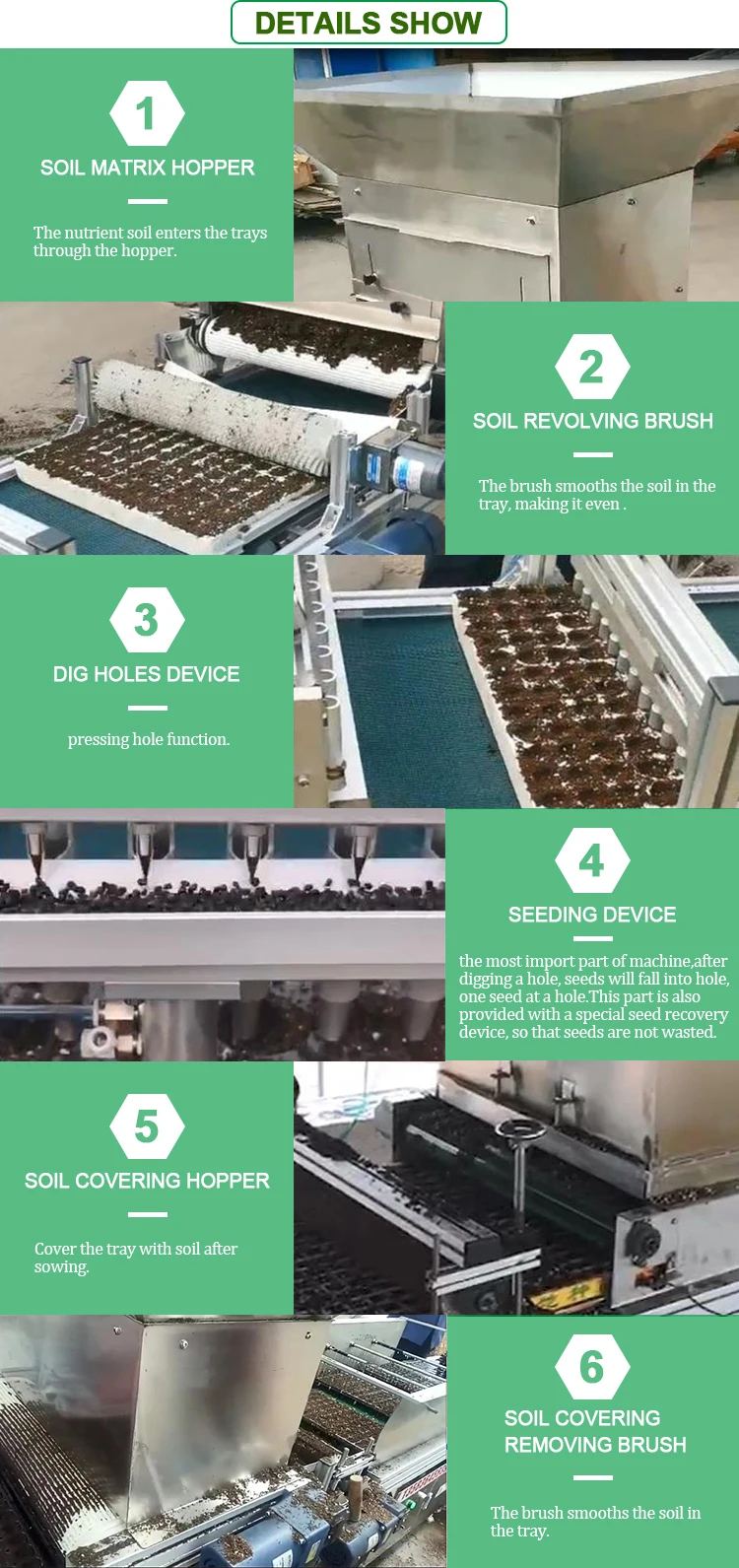 Automatic Tray Seed Sowing Machine - High Precision Seeding