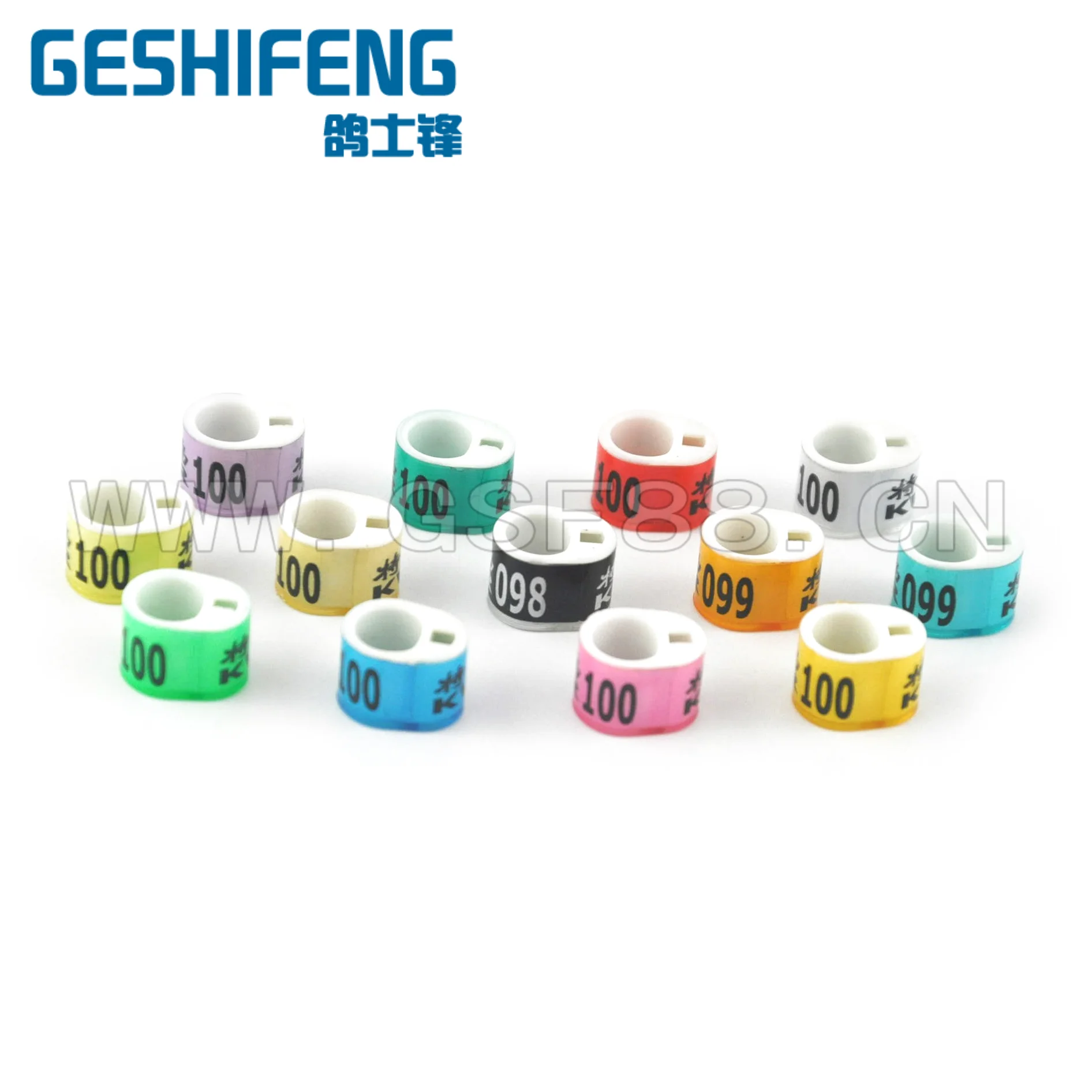 2020 Racing Pigeon Loft - Buy Racing Pigeon Ring,Rings For Pigeon ...