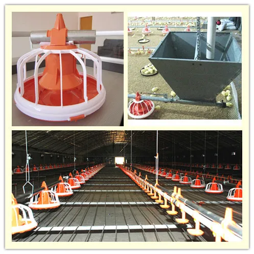 Automatic Chicken Feeding Pan System | Poultry Feed Conveyors for ...