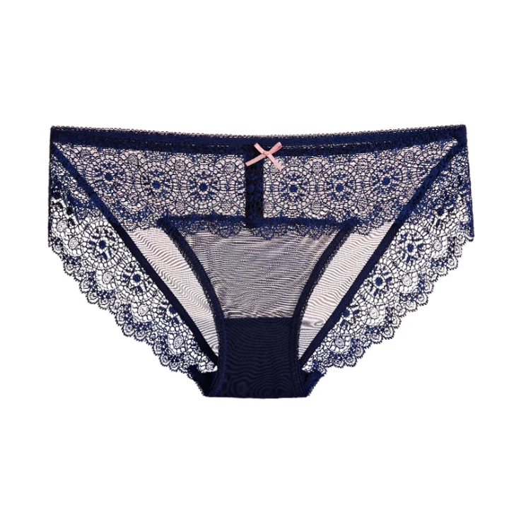 Sexy Transparent Mesh Underwear Women's Delicate Embroidery Low Waist ...