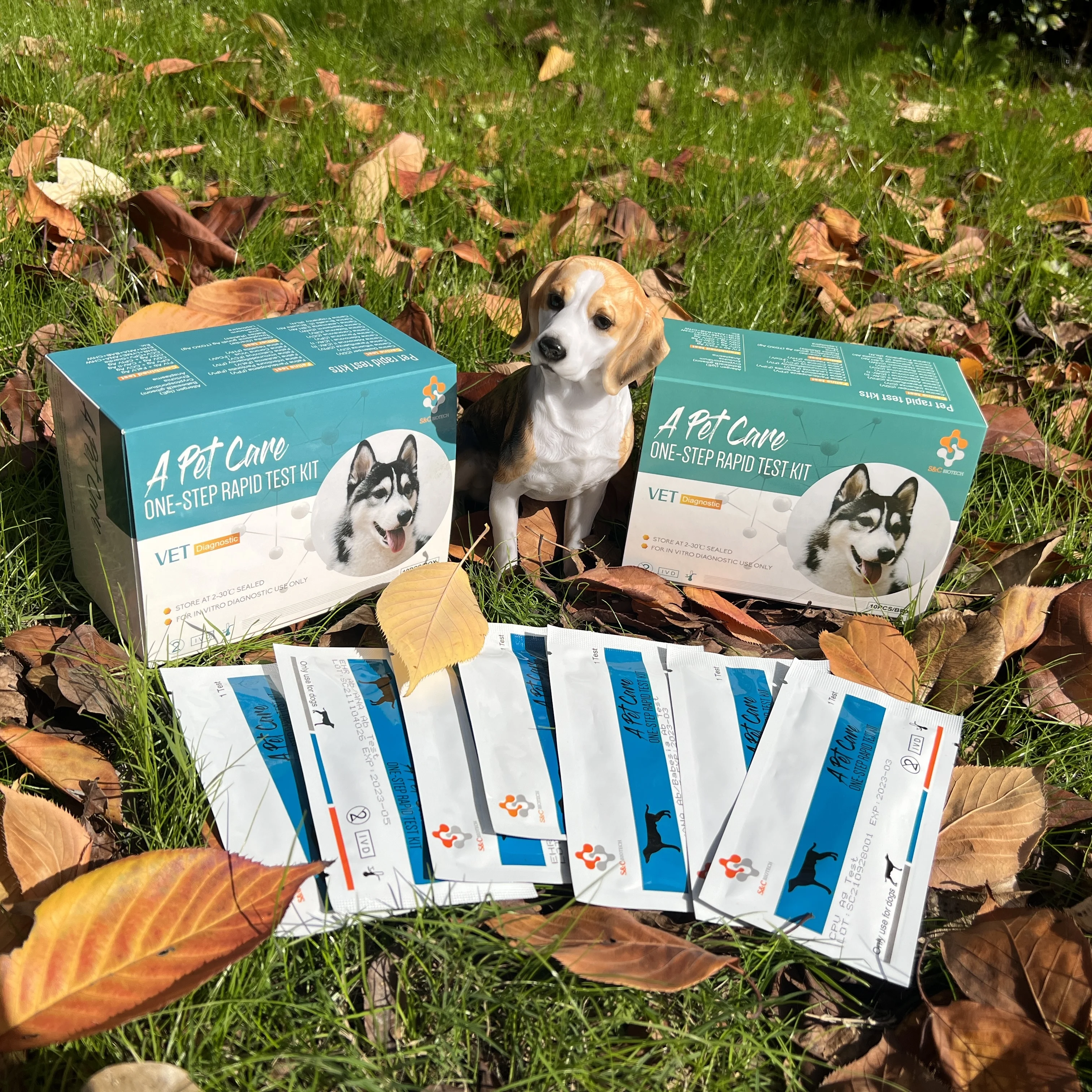 ISO Approved Veterinary Supplies - Rapid Test Kits for Dogs