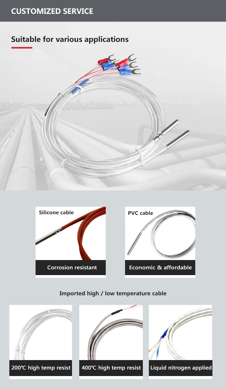 Holykell Custom The Thermal Resistance Sanitary Stainless Rtd Probe ...