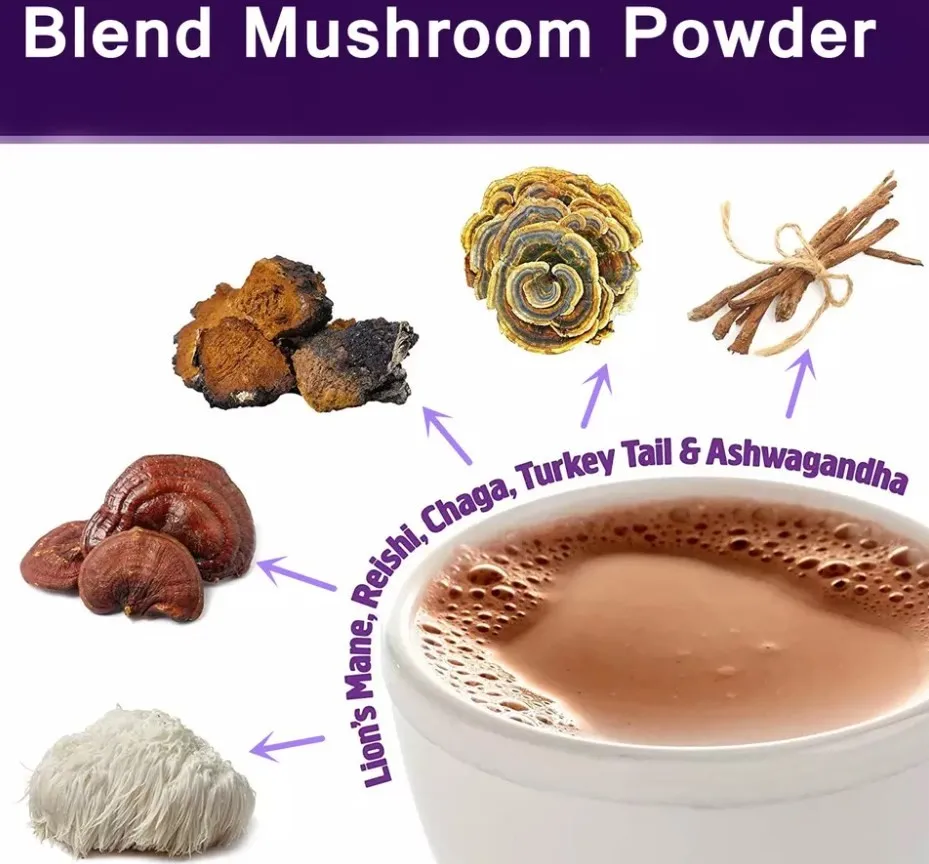 Organic Mix Mushroom Extract 100% Pure Herbal Plant Powder Blends High ...