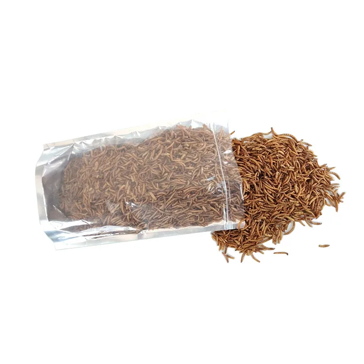 High Protein Dried Maggot Microwave Dried Black Soldier Fly Larvae ...