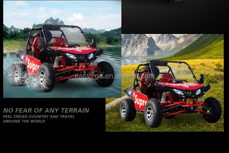 1100cc China 500cc 4x4 Dune Buggy for Sale - Fun & Thrill